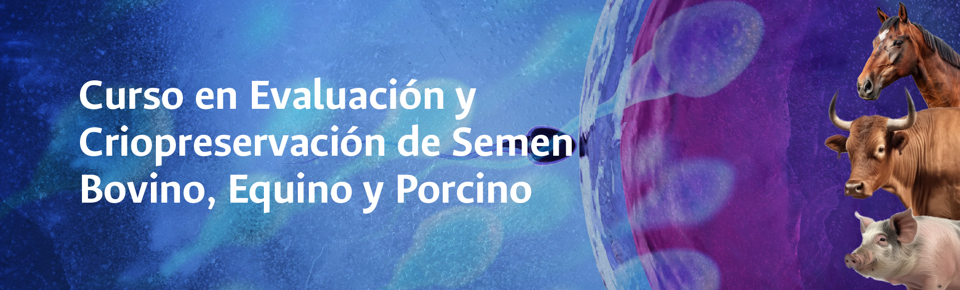 Universidad Nacional de Colombia : Centro de Educación Continua - Sede Medellín - Curso en ...